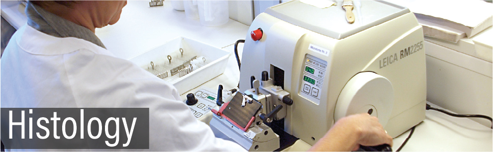 Cellular and molecular imaging core facility - Faculty of Medicine and Health Sciences - NTNU