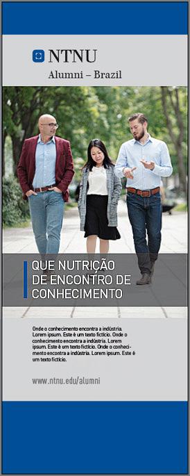 NTNU Alumni - Logo and graphic profile - NTNU