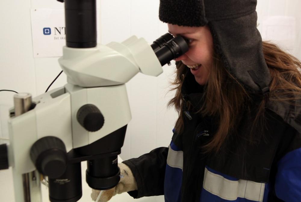 IBM - Snowlab - NTNU