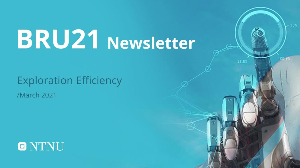 BRU21 - NTNU