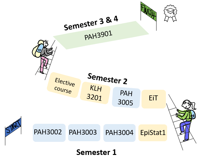 Study structure - Master of Science in Physical Activity and Health - NTNU