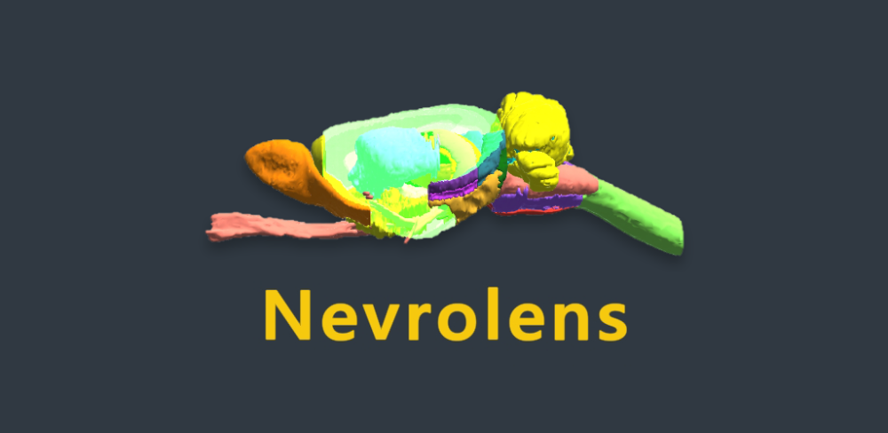 Research – IMTEL – Nevrolens - NTNU