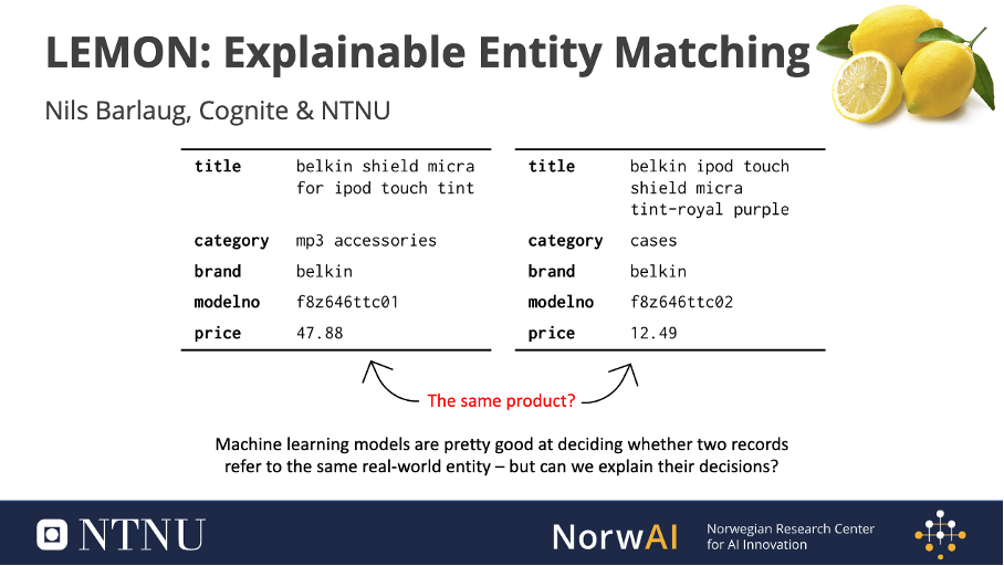 Ten posters - one winner - NTNU
