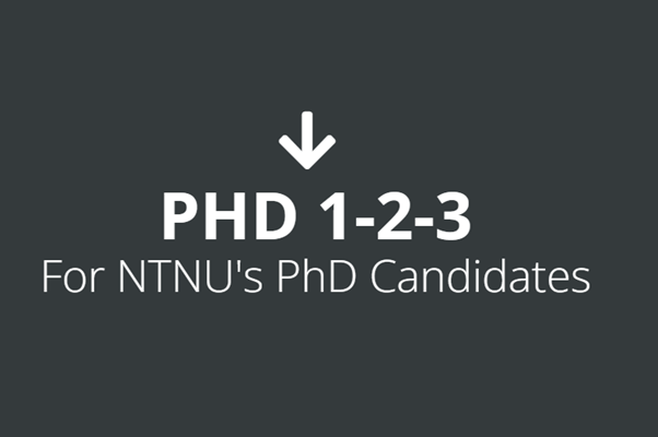 Phd Studies At Faculty Of Architecture And Design Ntnu