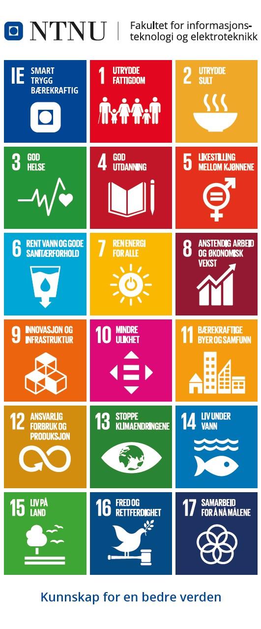 Sustainable Development Goals at IE - NTNU