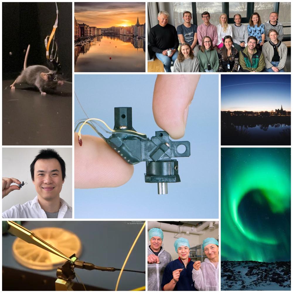 Mini2P workshop - The Kavli Institute for Systems Neuroscience - NTNU