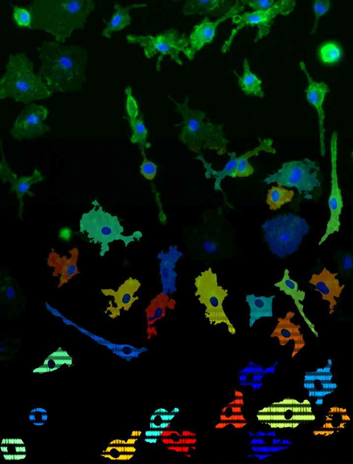 Laboratories - CEMIR - NTNU
