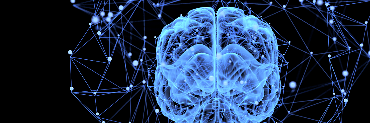 Norwegian Neuroscience Society - NTNU